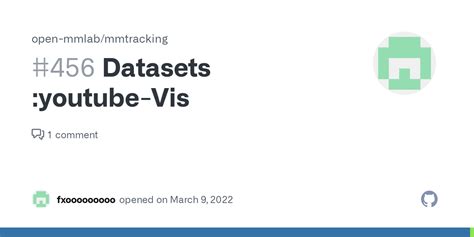Datasets Youtube Vis Issue Open Mmlab Mmtracking GitHub