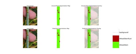Can You Help Shape The Future Of Plant Disease Detection Cimmyt