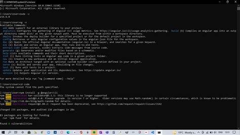 Nodejs Why Can I Not Create A Project On Angular Even Though Ive