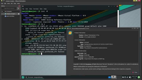 Bridge Network Mode Does Not Work In Vmware Virtualization Manjaro