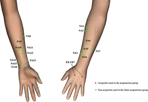 Sp16 Acupoint Location At Charlie Ortega Blog