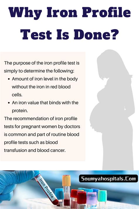 Iron Profile Test During Pregnancy Purpose Procedure Results Price