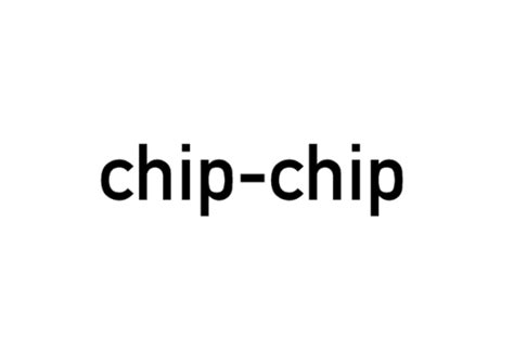 chip chip 百度百科