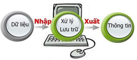 input và output là gì trong tin học Định nghĩa và ứng dụng vn