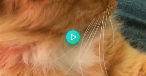 Needed Something Soothing And Thought You Might Too Album On Imgur