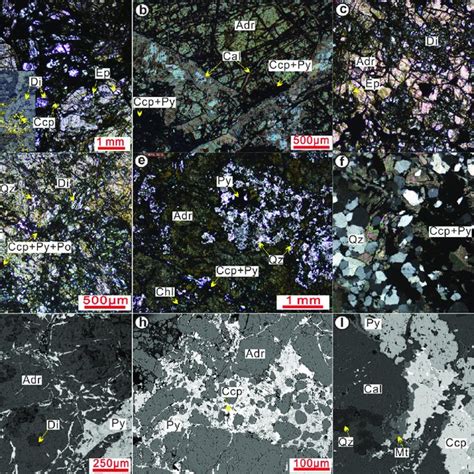 Representative Photomicrographs Showing Mineral Assemblages And Download Scientific Diagram