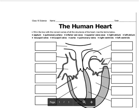 Science Review Diagram Quizlet