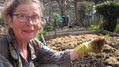 How I Plant Parsnips YouTube