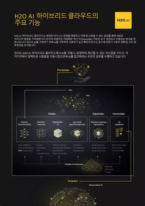 코세나 Kosena ﻿auto Ml 플랫폼 H2oai Dai Pdf