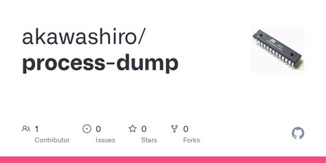 github akawashiro process dump
