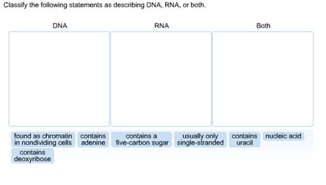 Solved Classify the foIlowing statements as describing DNA, | Chegg.com