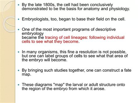 Cell Fate Fate Maps Pptx
