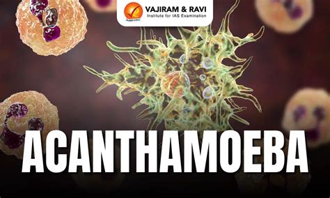 What Is Hpv Vaccination