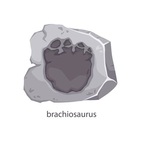 Brachiosaurus Dinosaur Footprint Fossil In Stone 46914347 Vector Art At Vecteezy