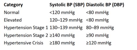 4 Hypertensive Disease Pathogenesis Classification Clinic And
