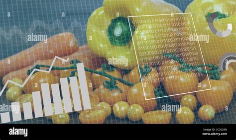 Displaying Yellow Bell Pepper And Tomatoes In Studio With Grid Overlay
