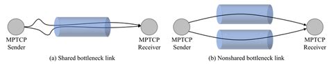 Two Types Of Bottlenecks In The Multipath Transmission Control Protocol