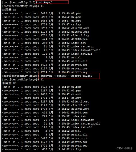 云服务器与内网服务器组成局域网，并通过nginx访问内网服务如何将云服务器的ip与本机处于同一个局域网 Csdn博客