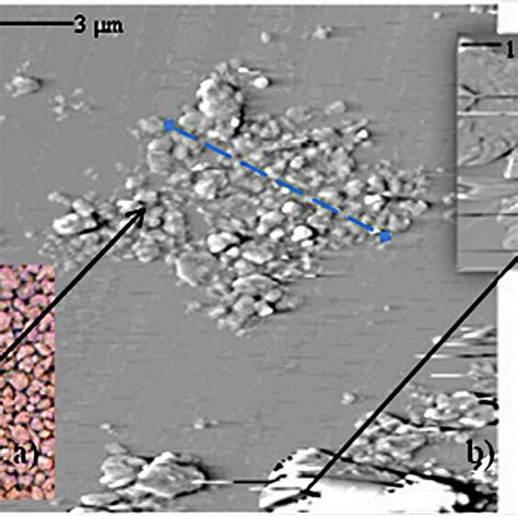 Images Showing Particle Scattering A Optical Image Of The Dried