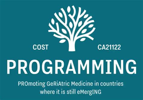 programming survey cost