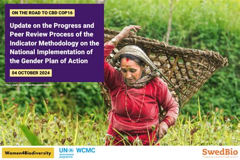 Eng Fr Es Information Sessions Update On The Progress And Peer