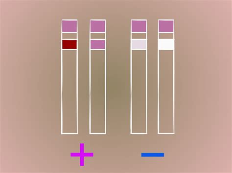 Ways To Know When You Are Ovulating WikiHow