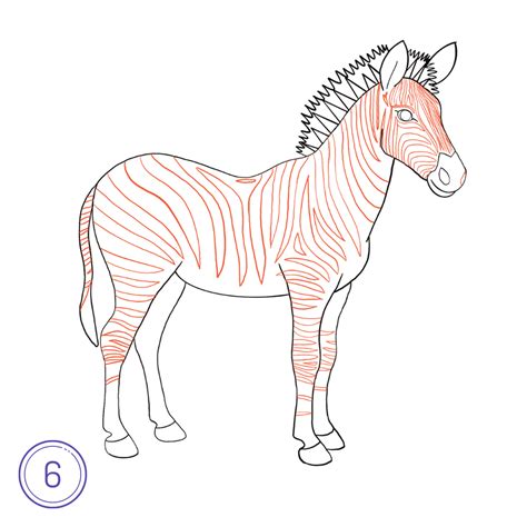 How to Draw a Zebra: A Step-by-Step | How to Mimi Panda