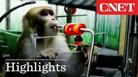 Watch Neuralinks Deep Dive Into Visual Prosthesis Research Youtube