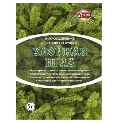 Хвойная игла