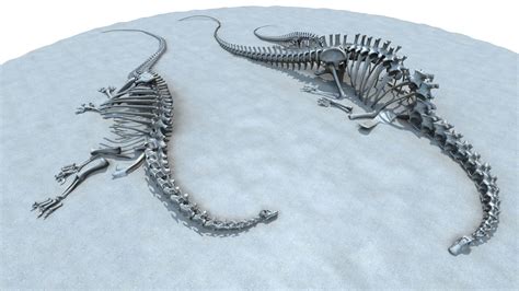 Diplodocus Bones 3d Model 89 Ma Fbx Obj Free3d