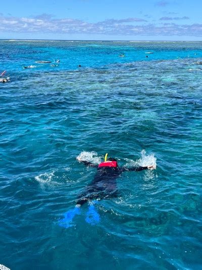 호주 케언즈 여행 그레이트 배리어 리프 크루즈 투어 Best3 비교 다운언더 실버크루즈 선러버 네이버 블로그