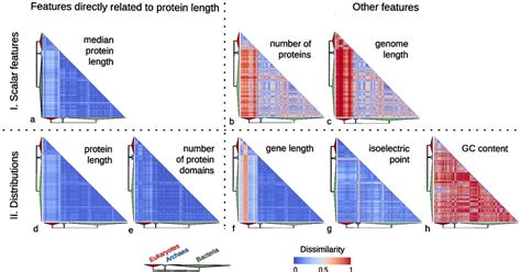 heatmaps of pairwise species comparison of genomic features row and