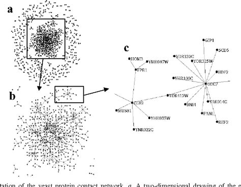Figure 2 From The Yeast Protein Interaction Network Evolves Rapidly And