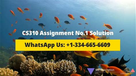 cs310 assignment no 1 solution spring 2023 youtube