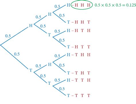 How To Use Tree Diagrams For Probability Video Practice Questions