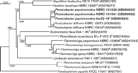 Cryptococcus Diffluens Semantic Scholar Cryptococcus Diffluens Semantic Scholar