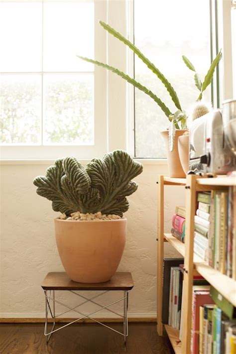 Magnific Popup Responsive Jquery Lightbox Plugin Decor Furnishings