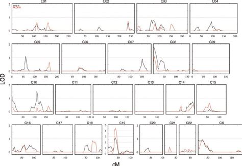 Genome Wide Linkage Of 31 Danish Fhm Families Results Are Shown For