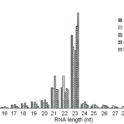 Length Distribution Of Sequenced Small Rnas Download Scientific Diagram
