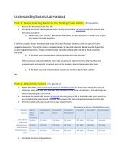 Understanding Bacteria Lab Handout 1 Docx Understanding Bacteria Lab Handout Part 1 Gram