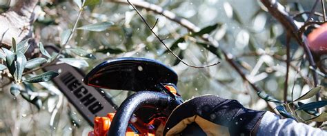 CS TES Top Handle Chain Saw ECHO Australia CS TES Top Handle Chain Saw ECHO Australia