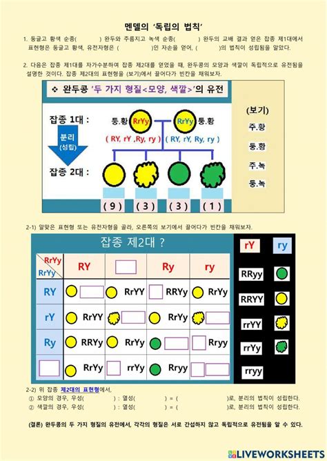 멘델의 유전 독립의 법칙 Worksheet Live Worksheets