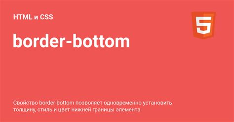 Border Bottom ⚡️ Html и Css с примерами кода
