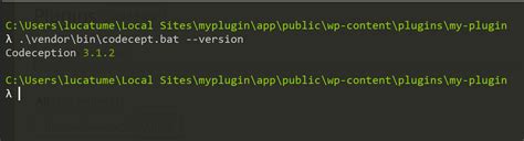 Setting Up Wp Browser On Local By Flywheel To Test A Plugin Wp