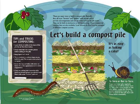 Composting With Katie Hungry Harvest