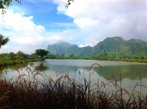 No Matter What Zach Mitchell X Reader Fanfiction I Unexpected