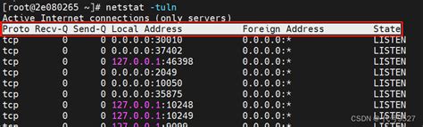 Linux查看网络情况与端口号 Netstatlinux 查看tcp连接对端的ip Csdn博客 Linux查看网络情况与端口号 Netstatlinux 查看tcp连接对端的ip Csdn博客