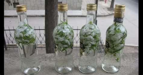 Ето как се прави прочутият бабин лек с кокичета и ракия против настинка за бистър ум и орлов