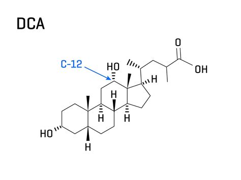 Bile Acid Analysis