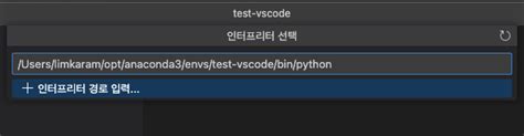 VScode 파이썬 개발 환경 설정 with extension